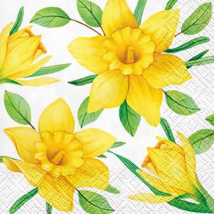 Salvete za dekupaž Daffodils in Bloom - 1 komad