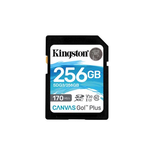 Kingston SDG3/256GB 256GB SDXC, Canvas Go! UHS-1 U3 V30, up to 170MB/s read and 90MB/s write, 4K2K