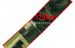 Petrovaradin-stara kuća na Velikom Placu 1750 m2-065/385 8880