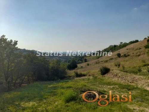 Beočin-Dve kuće na Fruškoj Gori na Placu od 5758 m2 u zelenom visinskom kraju-065/385 8880