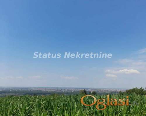 Rakovac-Vasionski Građevinski Plac 6580 m2 na Salaksijama-065/385 8880