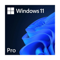 Microsoft Windows 11 Pro 64bit OEM ENG FQC-10529