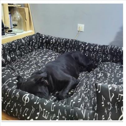 Krevet za velike rase pasa, Premium king size