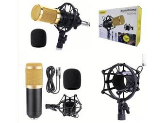 Professionelles Mikrofon Modell 7451