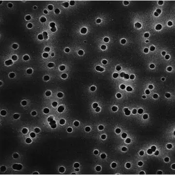 Crni membranski filteri od polikarbonata, MERCK MILLIPORE, ø 13 mm, dim. pore 0.4 µm