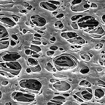Hidrofilni membranski filteri od PES, MERCK MILLIPORE, ø 47 mm, dim. pore 0.22 µm, ROTH