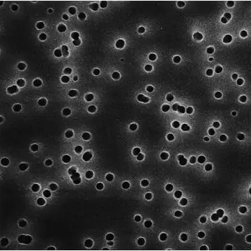 Beli membranski filteri od polikarbonata, MERCK MILLIPORE, ø 47 mm, dim. pore 0,1 µm
