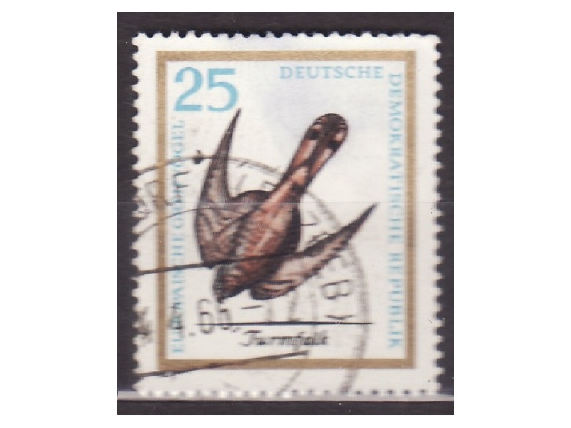 DDR - ptica