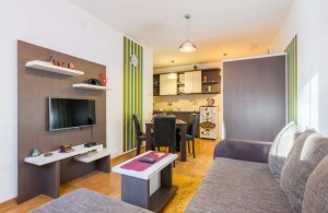 Apartman na dani ili duži perioda 290 eura