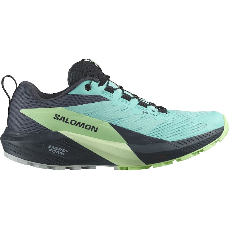 Salomon SENSE RIDE 5 GTX W, ženske patike za trail trčanje, plava