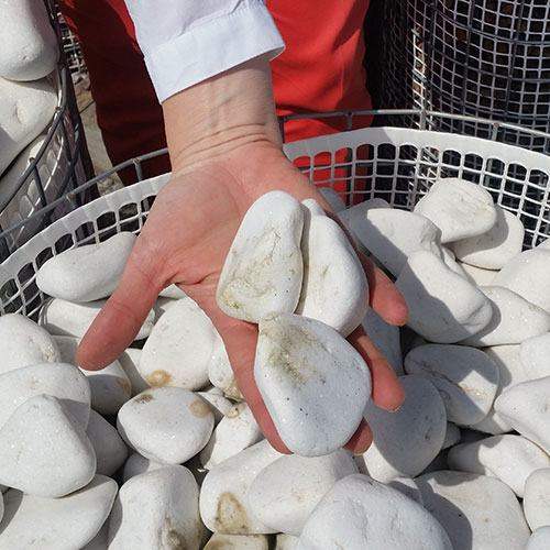 Kamen Beli oblutak 6-10cm Thasos