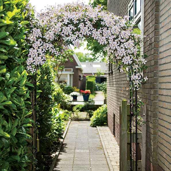 Pergola Za Penjačice Obla