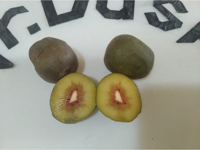 Jingold red kiwi 30 semena