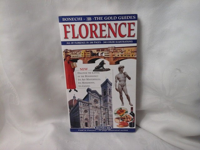 Florence new guidebook turistički vodič Firenca