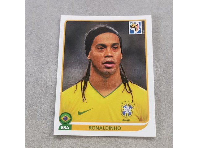 SOUTH AFRICA 2010 Panini Fifa World cup slicica 500