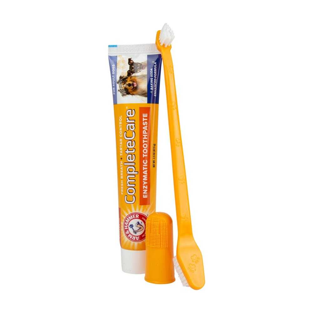 Arm & Hammer Dental Set - Fresh breath pasta i četkica