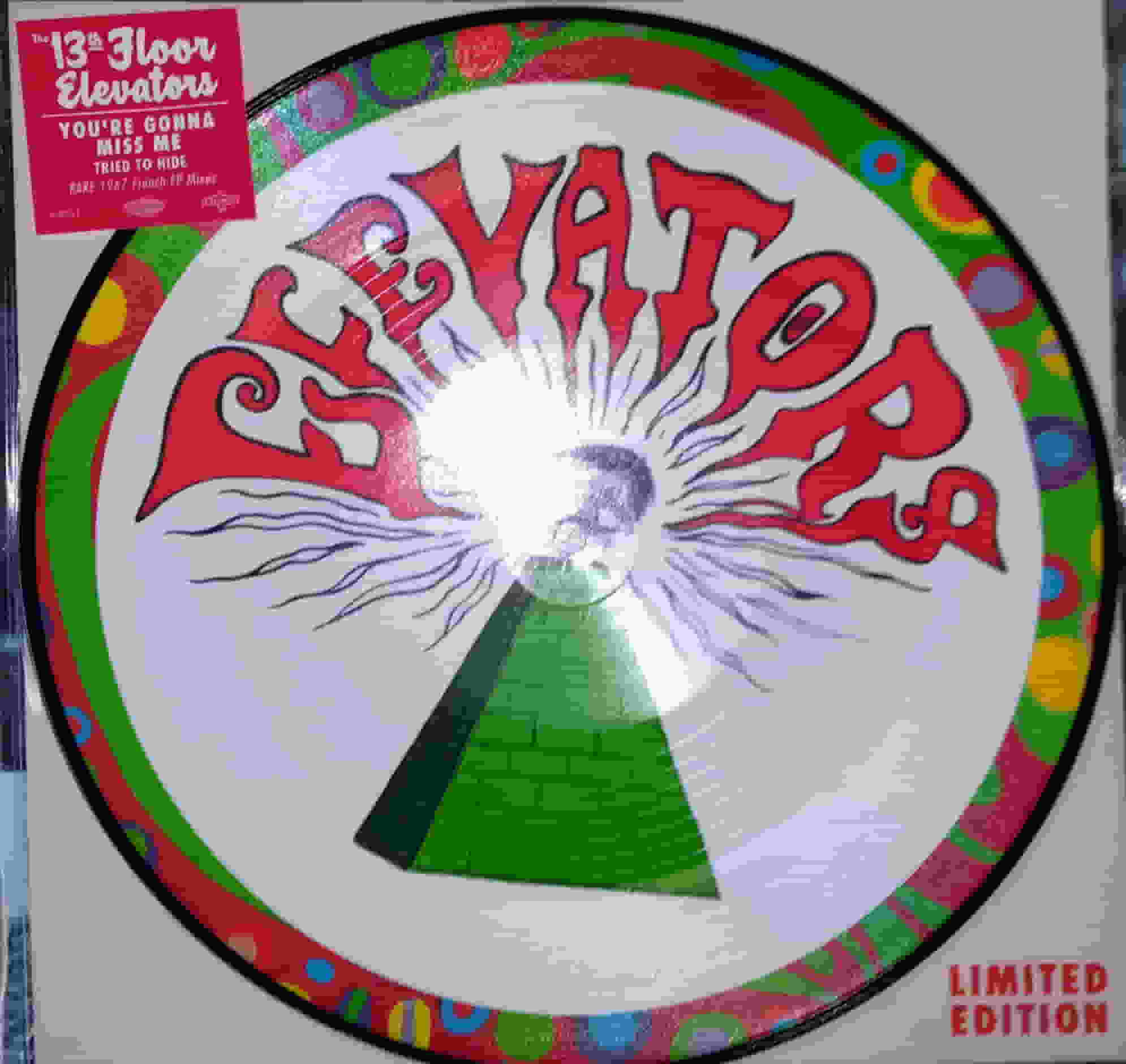 The 13th Floor Elevators – You`Re Gonna Miss Me