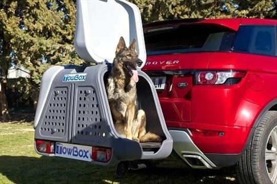 Transporter za pse za auto kuku