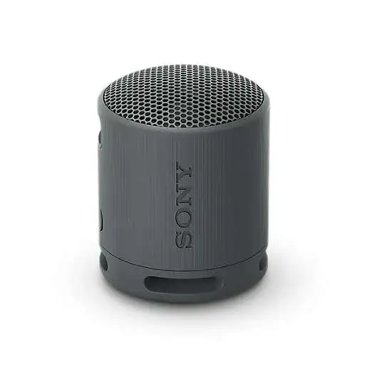 SONY SRSXB100B.CE7 crna