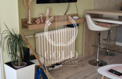 IZDAVANJE Stan 3.0: Novi Sad-Rotkvarija, Dostojevskog, 43.00m2, 500eur ID#6182