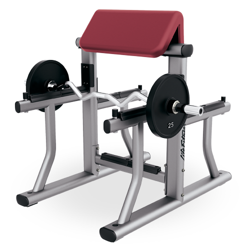 Arm Curl Bench