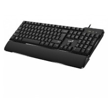 GENIUS Tastatura USB KB-100XP US