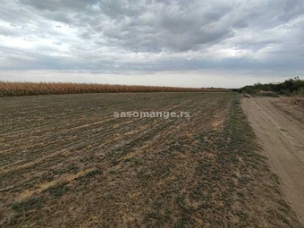 Poljoprivredno zemljište (jutro) u Maradiku, blizina Jarkovačkog jezera