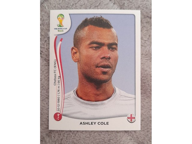 Fifa 2014, Brazil, Panini, Sličica #301