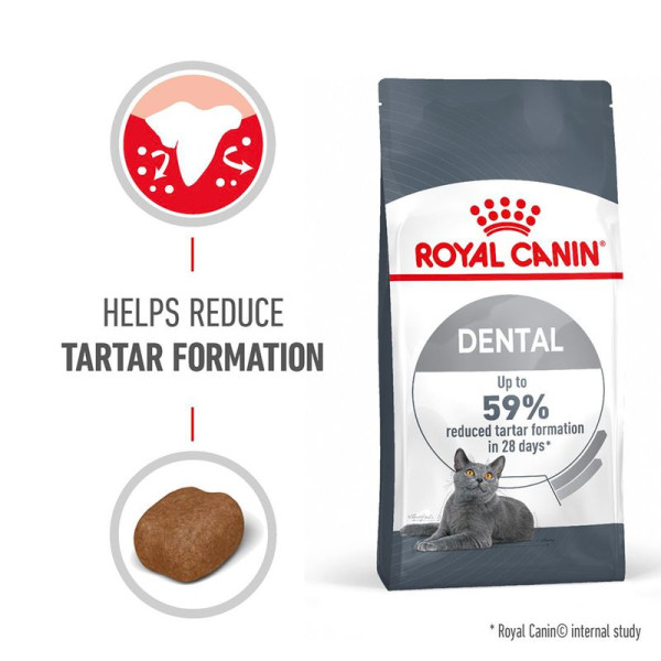 Royal Canin Dental Care Hrana za odrasle mačke 400g