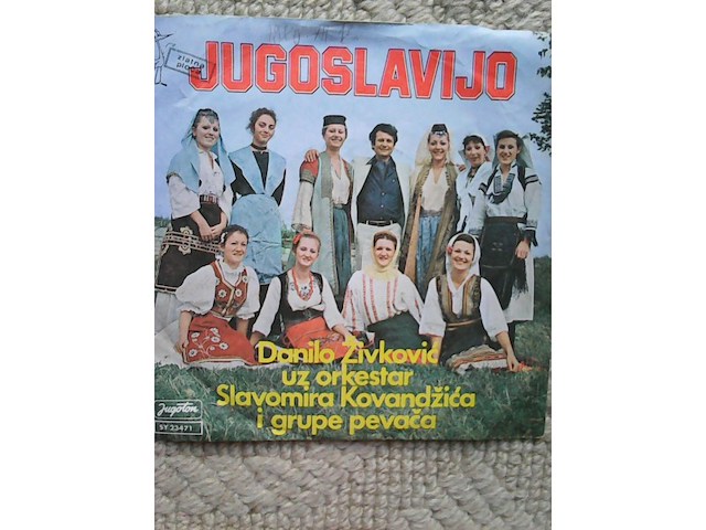 PLOČA DANILO ŽIVKOVIĆ-RADIMO SLOŽNO JUGOSLAVIJO