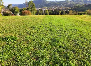 Prodaja Plac - Zlatibor