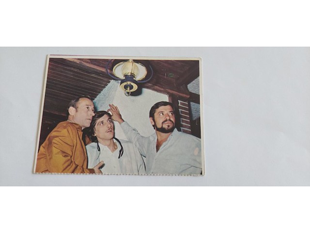 MUZIKANTI