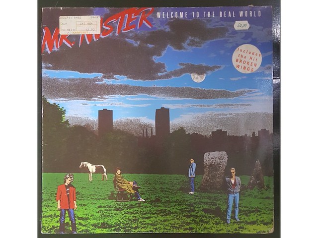 MR. MISTER :  Welcome To The Real World