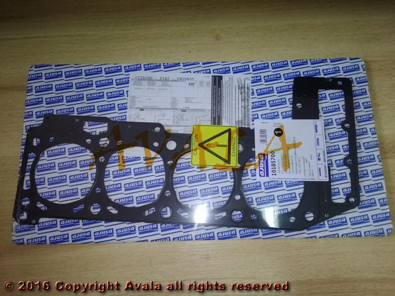 Dihtung (zaptivač) glave II specijala (2 oznake) *12501138*