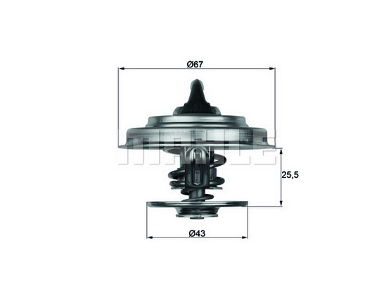 Termostat (sa gumom) *15001031*