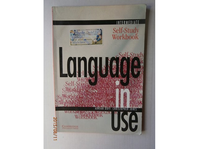 Language in use Intermediate Workbook