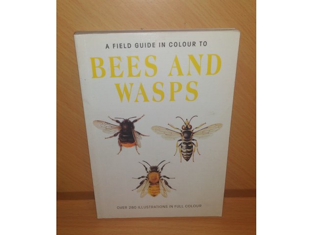 BEES AND WASPS