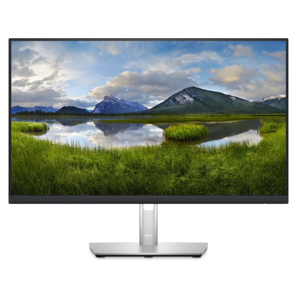 DELL 23.8" IPS P2423D Monitor