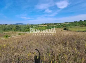 Prodaja Plac - Beograd, Voždovac: Ripanj - Šuplja Stena