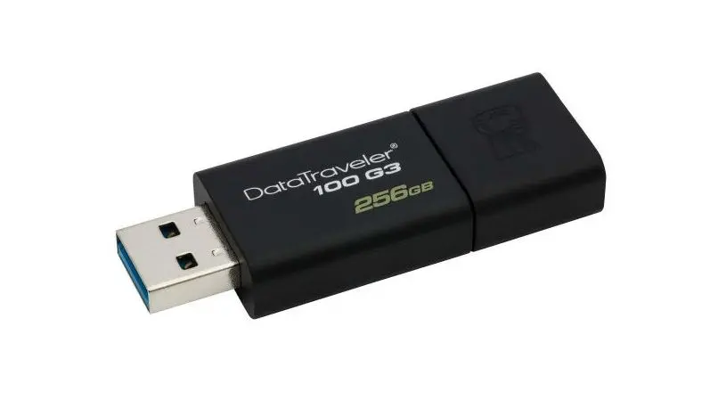 KINGSTON USB memorija DataTraveler 100 G3 DT100G3/256GB crna