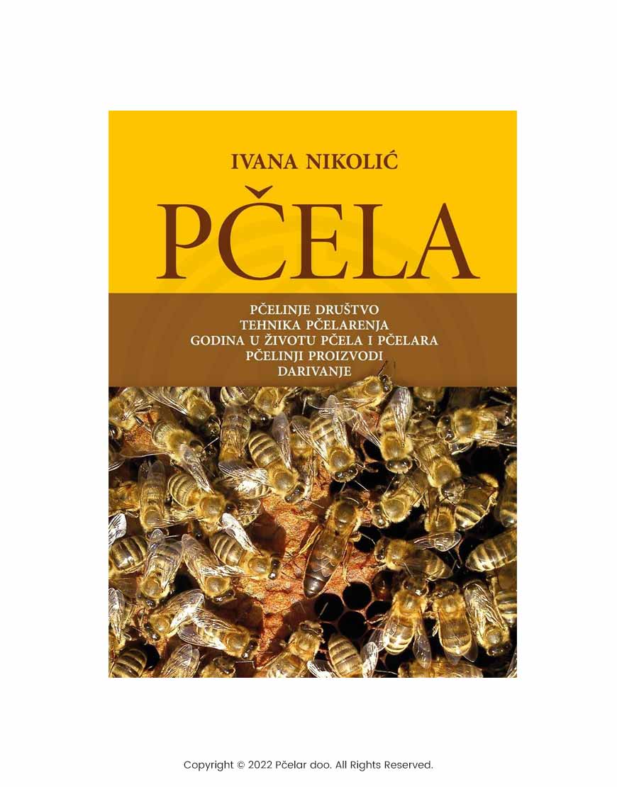100136 - "Pčela" - Ivana Nikolić