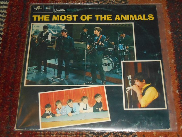 ANIMALS - Most of the animals