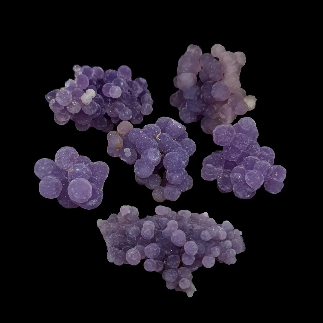 Grape Kalcedon#9523B98