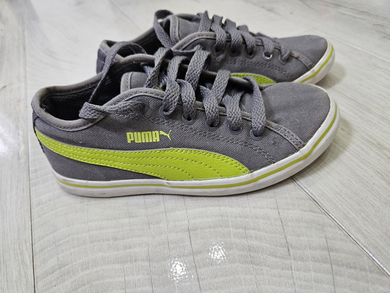 Puma platnene br 29