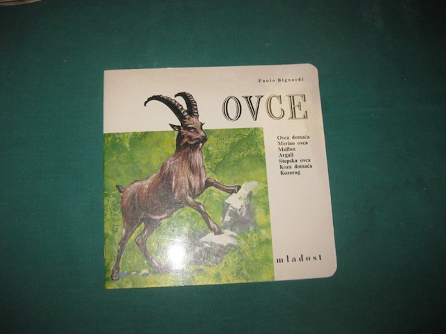 Ovce - Paolo Bignardi