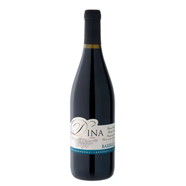 Braća Rajkovic Dina Barrique 2009 0,75l