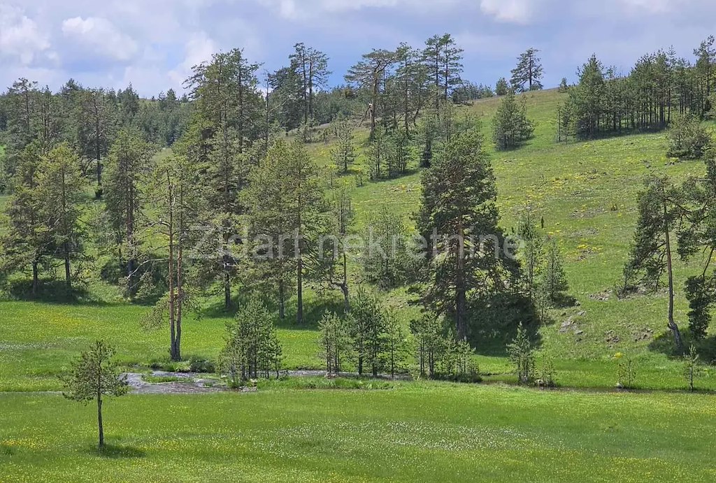 Prodaja, zemljište, 15000m2, Zlatibor