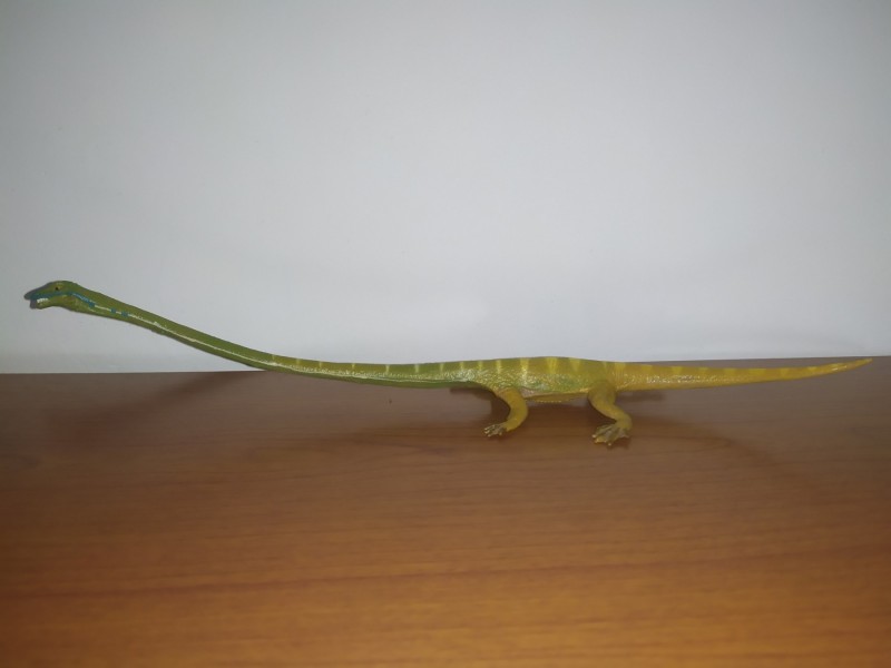 Tanystropheus , The Carnegie, Safari ltd. 1999 , 30cm