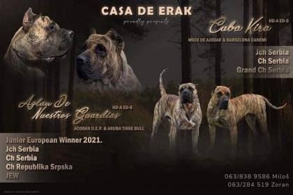 PRESA CANARIO PRELEPI ŠTENCI