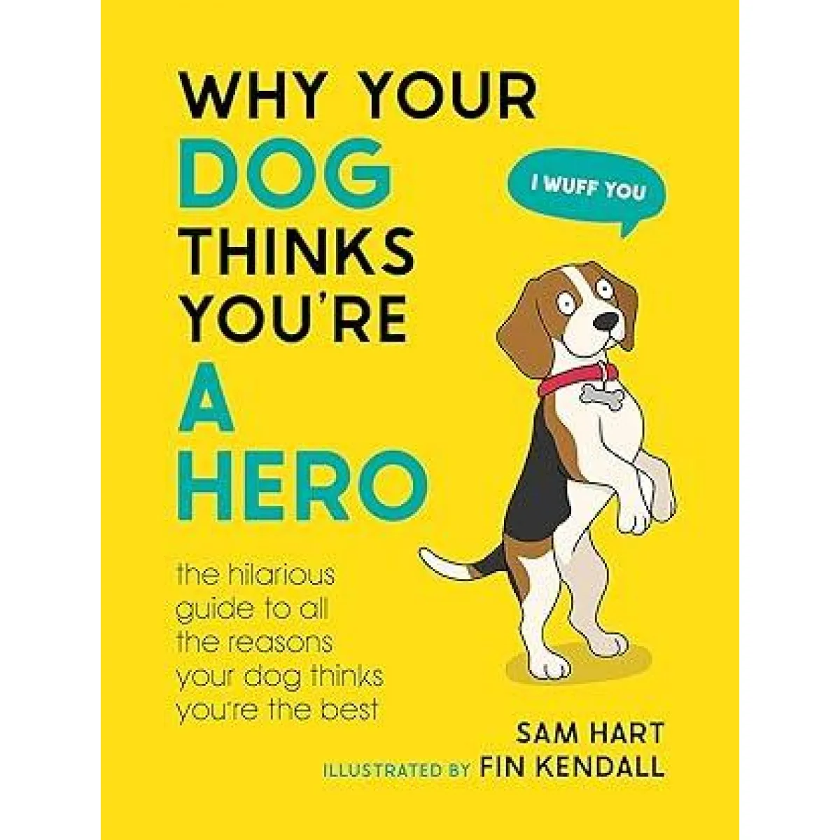 WHY YOUR DOG THINKS YOU ARE HERO